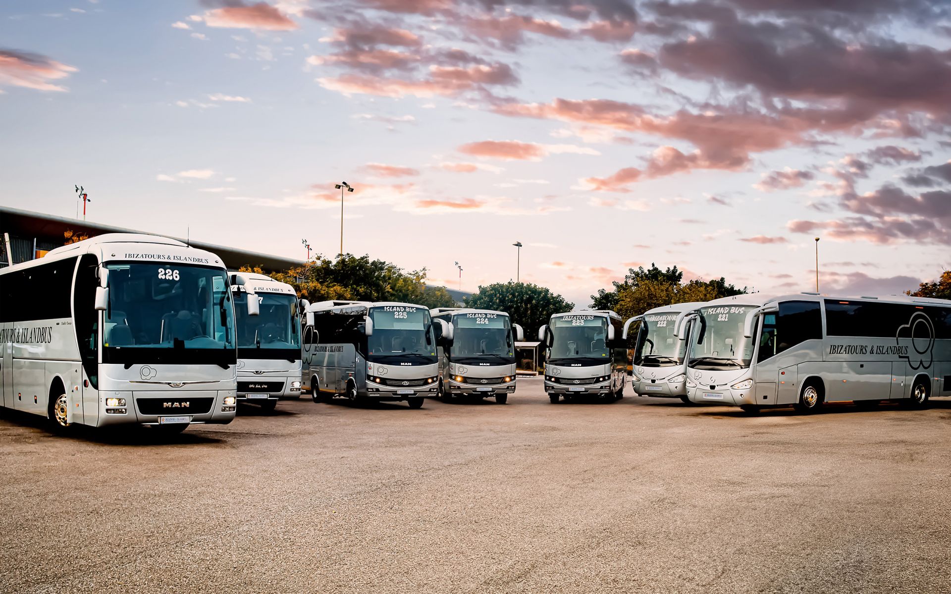 Bus Transfers in Ibiza - Ibizatours & Islandbus
